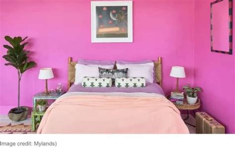 Yuk Intip 5 Tren Warna Cat Rumah Yang Cocok Untuk Dekorasi Ulang Hunian