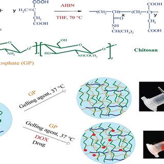 8 Schematic Representation Of Hydrogel Preparation Source Copyright