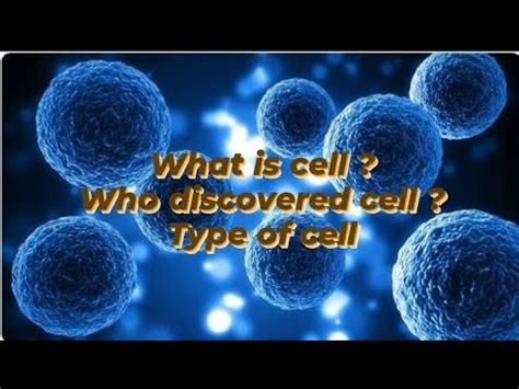 Cell Biology What Is Cell Who Discovered Cell And Types Of Cell
