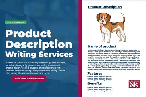 Product Description Writing Services Nephsonic
