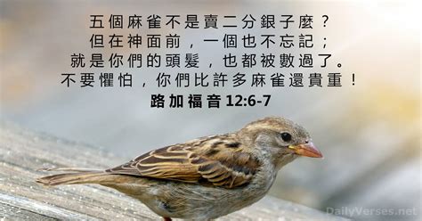 Dailyverses Net