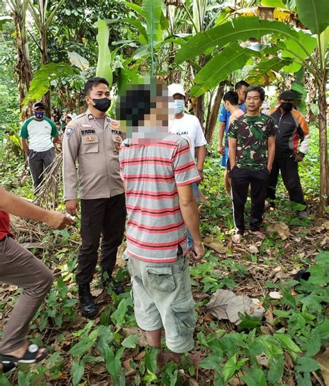 Geger Sesosok Pria Tewas Tergantung Di Pohon Rambutan