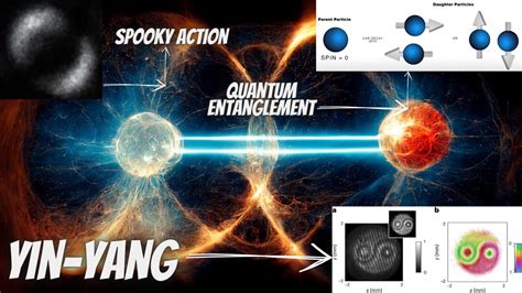 Yin Yang Quantum Entanglement Of Two Photons In Real Time Youtube
