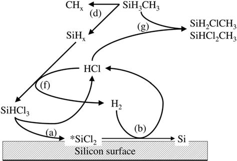 Gas Phase Chemical Reactions In A TrichlorosilaneSiH X Hydrogen