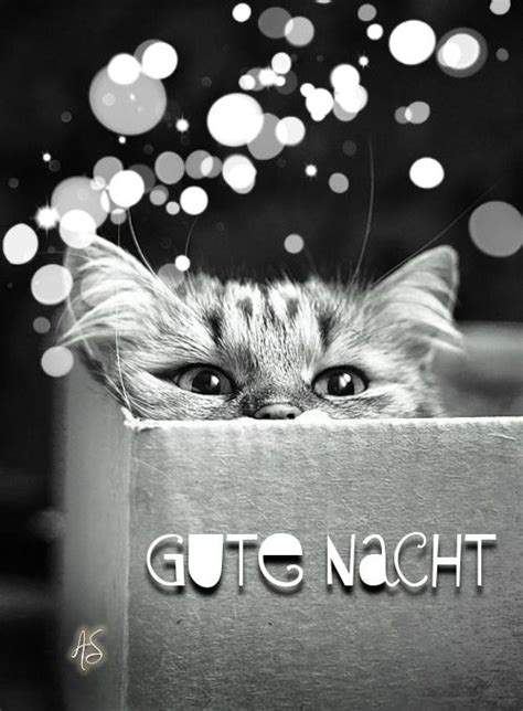 Pin von Heidrun Schüler auf Lustige bilder Gute nacht Gute nacht