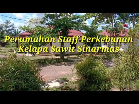 Perumahan Staff Perkebunan Kelapa Sawit Sinarmas YouTube