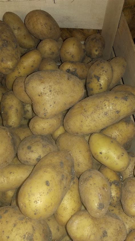La Volière Tous les produits