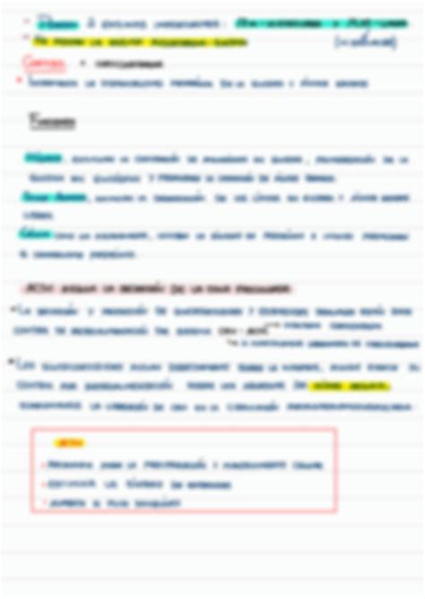 SOLUTION Histologia De Gl Ndula Suprarrenal Y P Ncreas Studypool