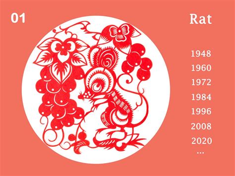 Les 12 Signes Astrologiques Chinois Rat Buffle Tigre Lapin Dragon