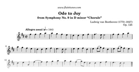 Ode To Joy From Symphony No 9 In D Minor Chorale L Van Beethoven