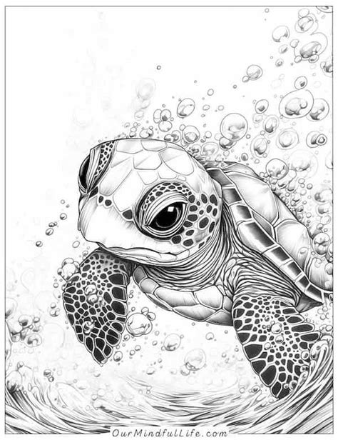Fun Tastic Turtle Coloring Pages Free Printable Our Mindful Life