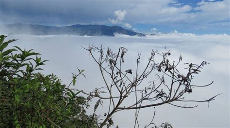 Bosques Nublados De Udima Un Atractivo Alternativo Del Norte Peruano