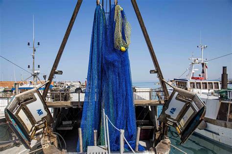 Proteggiamo Il Mare Dalla Pesca A Strascico Illegale MedReAct