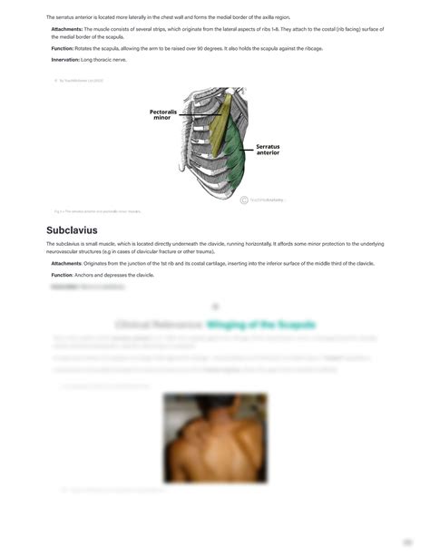 SOLUTION Muscles Of The Pectoral Region Studypool