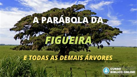 A Parábola da Figueira Curso Bíblico Online