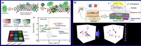 2d nanomaterial based sensor arrays a go as receptors for download scientific diagram