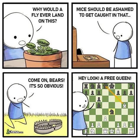 Queen Memes Schlechte Witze
