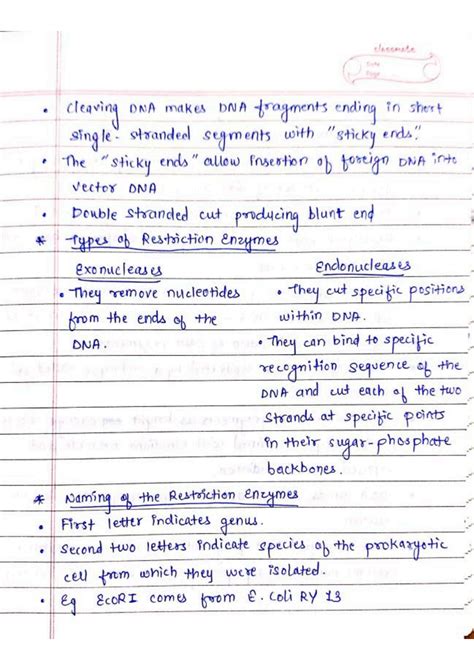 Solution Biotechnology Principles And Processes Handwritten Summary