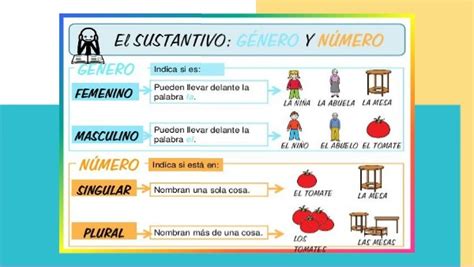 EL SUSTANTIVO GENERO Y NUMERO