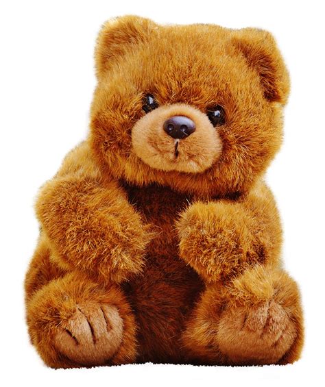 Teddy Bear Png Hd Transparent Teddy Bear Hd Png Images Pluspng