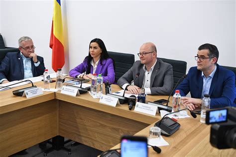 Raportul De Activitate Al Primarului Kereskenyi Gabor Pe Anul