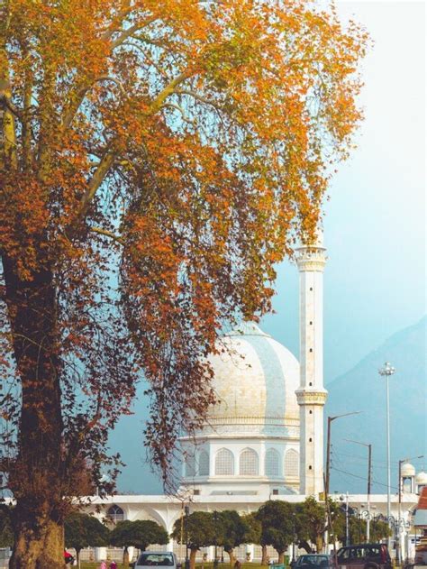 10 Hill Stations In India To Visit This Autumn The Hills Times
