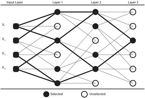 architecture of gmdh algorithm download scientific diagram