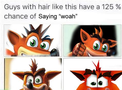 Absolutely Hilarious Crash Bandicoot Logic Memes