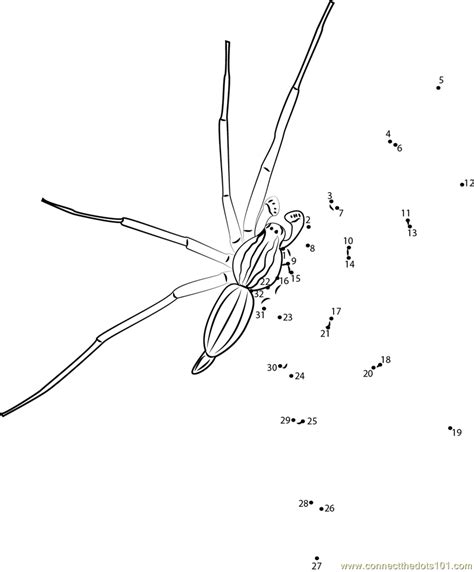 Small Spiders Dot To Dot Printable Worksheet Connect The Dots