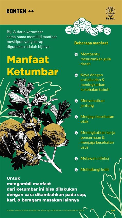 Manfaat Dan Kandungan Ketumbar Untuk Kesehatan Tubuh