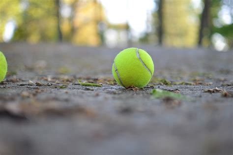 Boll Tennis Sporter Gratis foto på Pixabay Pixabay