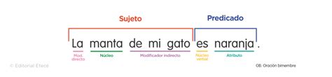 Modificador directo qué es y ejemplos Lenguaje