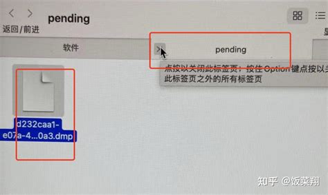 mac系统下ae2020安装插件失败后，启动报错，解决方法 知乎
