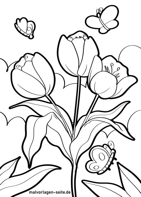 Tolle Ausmalbilder Tulpen Kostenlos Ausmalen