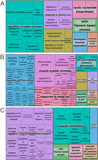 a data analysis framework for biomedical big data application on mesoderm differentiation of