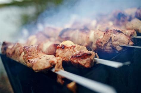 Asado A La Parilla Del Shashlik Adobado Foto De Archivo Imagen De