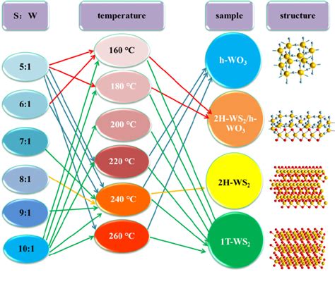 fig s1 summary of experimental conditions download scientific diagram