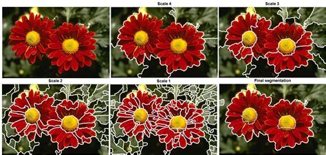 color image segmentation using region growing and region merging