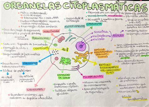 organelas citoplasmáticas mapa mental Biologia Celular