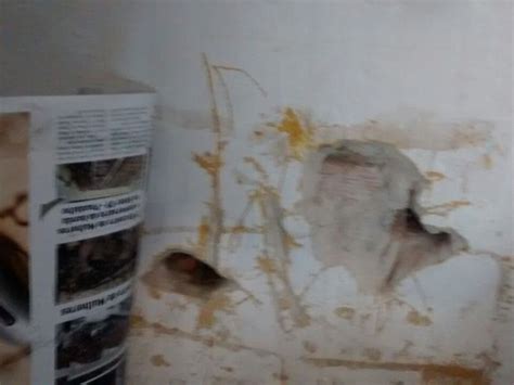 G1 Detentos Fazem Buraco Na Cela Motor De Ventilador Para Tentar