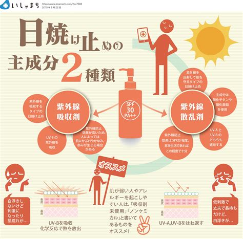 日焼け止めの主成分2種類 infographics 日焼け止め パンフレット デザイン 健康