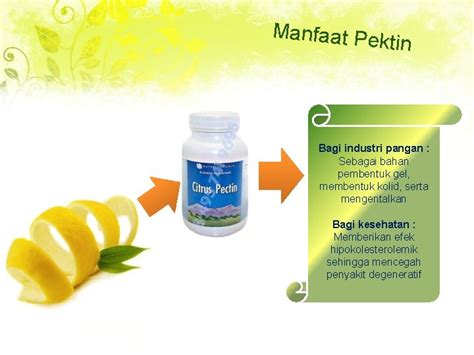 Pembuatan Pektin Dengan Memanfaatan Limbah Kulit Jeruk Lemon