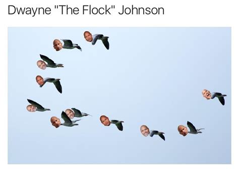 Dwayne The Flock Johnson Dwayne The Rock Johnson Rhymes Know