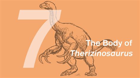 Qingge The Therizinosaurus The Body Learn To Draw Dinosaurs With