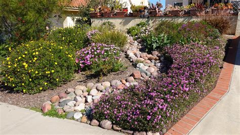 A Beginner S Guide To Drought Tolerant Landscaping In California