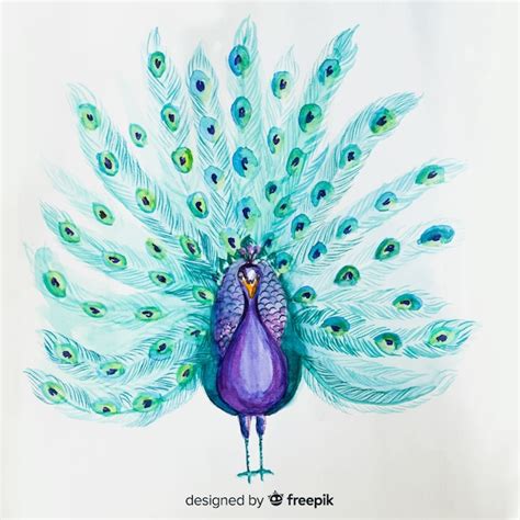 Hermoso Pavo Real De Acuarela Vector Gratis
