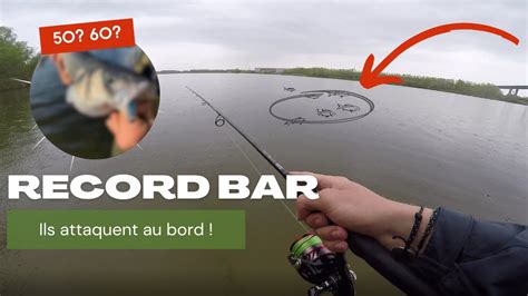 Je P Che Mon Record Bar Au Leurre Souple P Che Du Bar En Canal