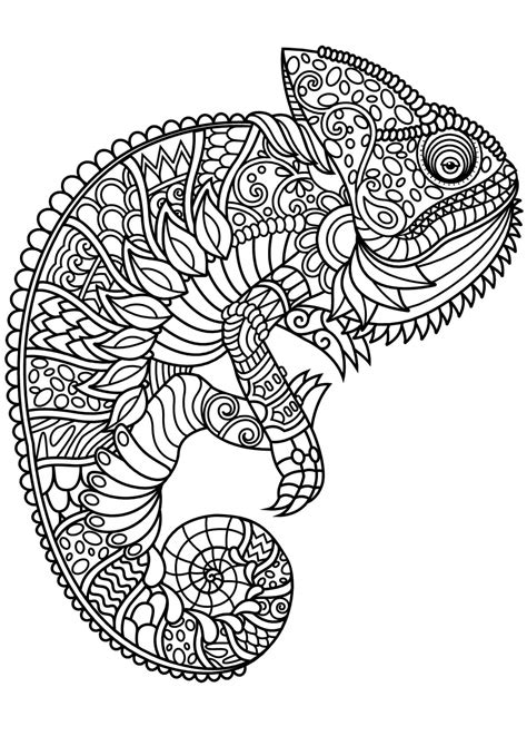 El Camaleón es Para Adultos para colorear imprimir e dibujar