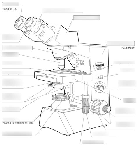 Lab 1 Microscope Diagram Quizlet