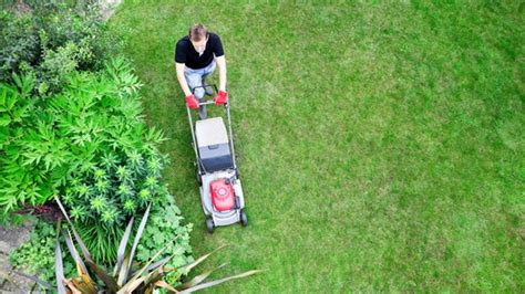 How Much Does Lawn Mowing Cost 2024